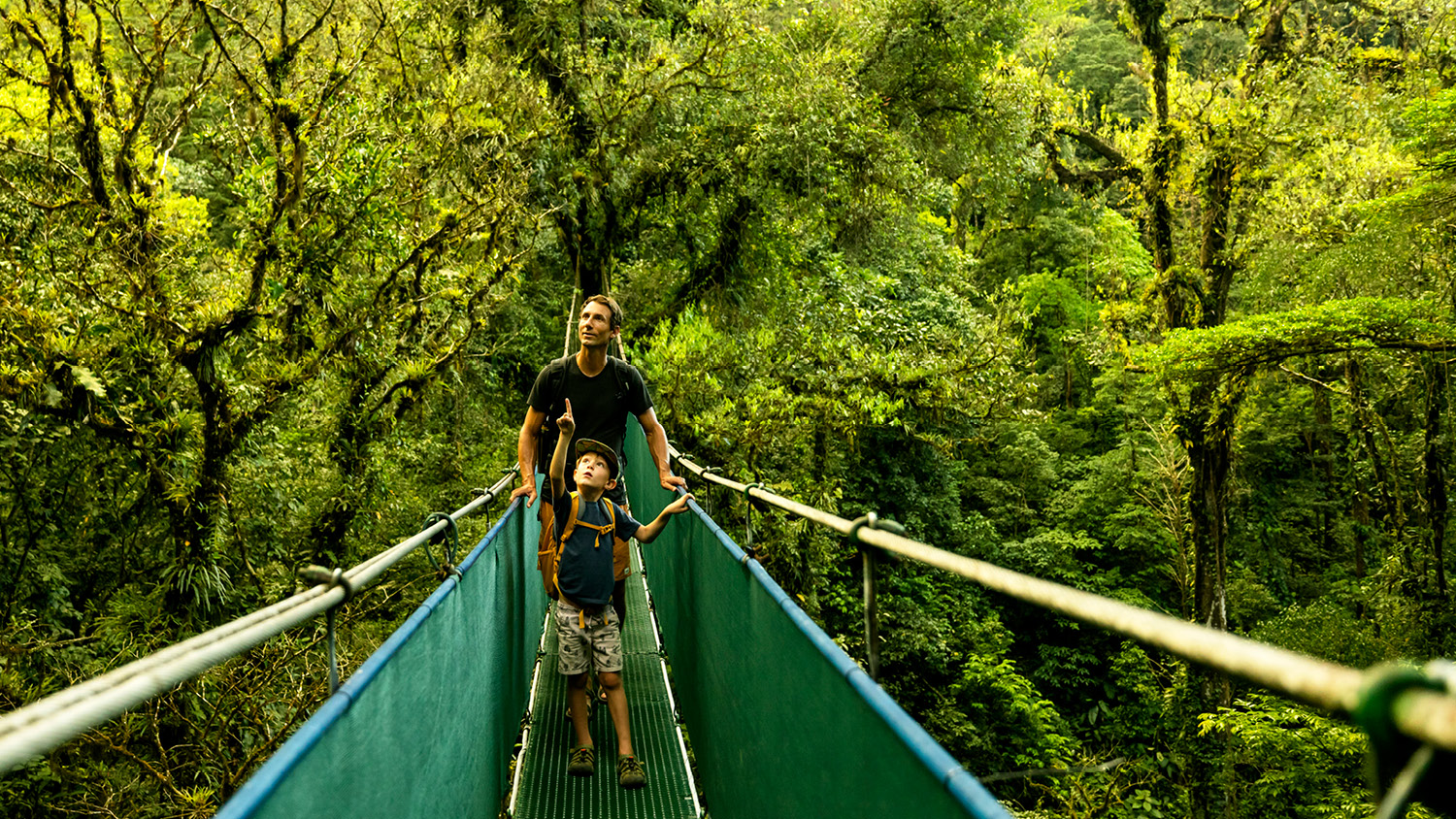 Best Ecotourism Destinations Around the World | Flight Centre