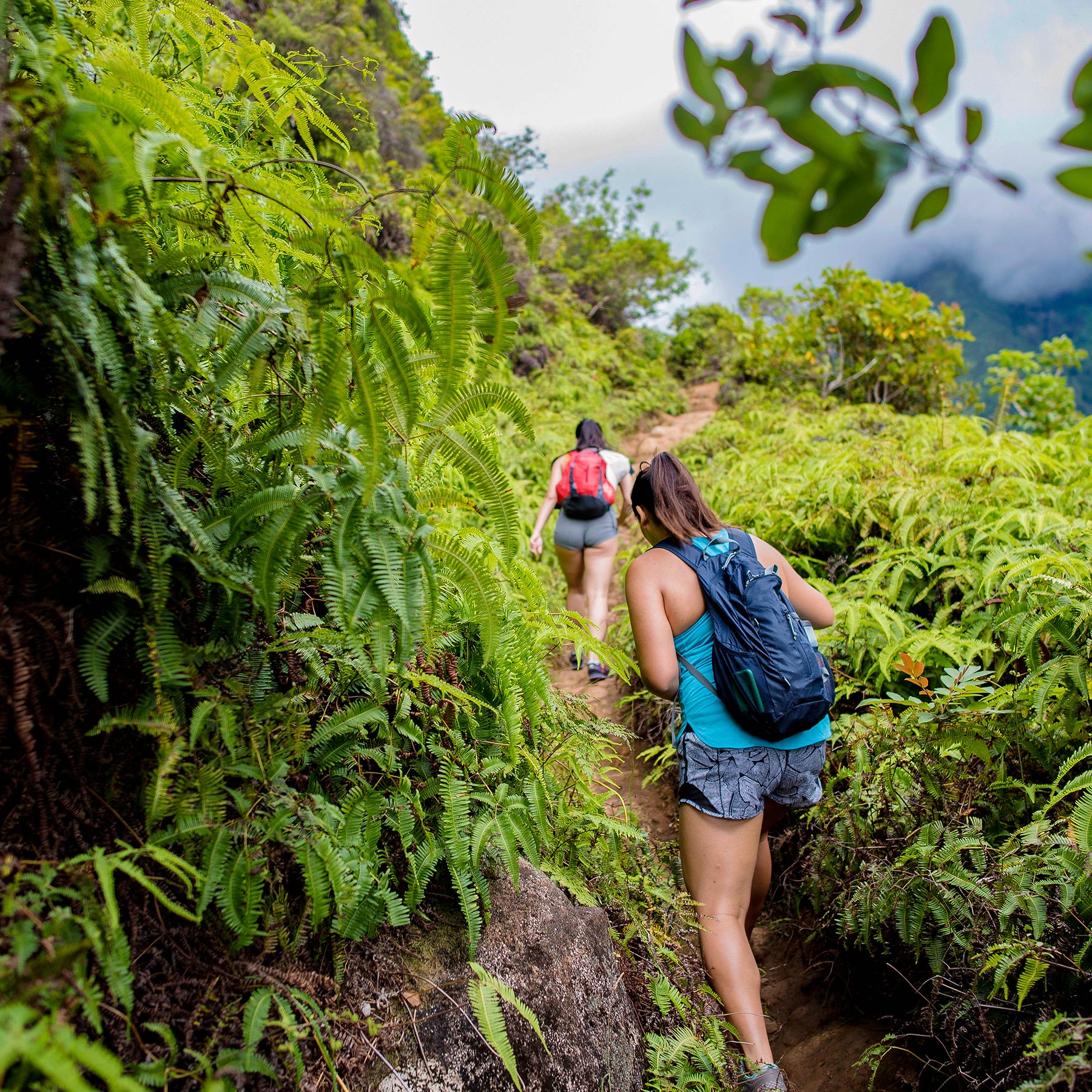 Hawaii Travel Tips: Expert Advice for First-Timers | Flight Centre UK