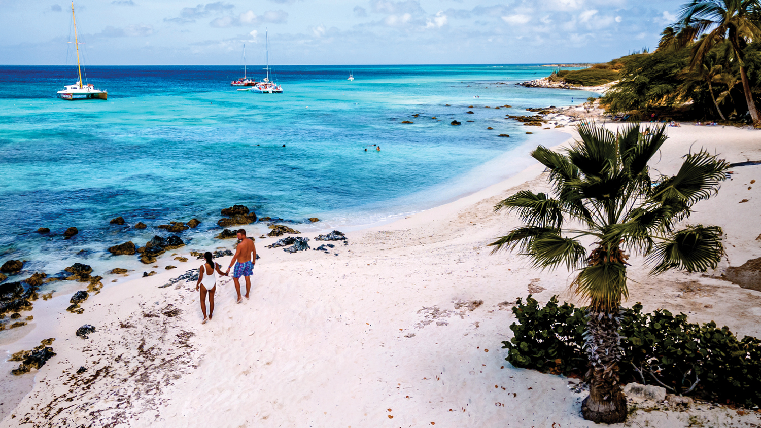Aruba vs. Bonaire: Which Caribbean Island Is Right for You?