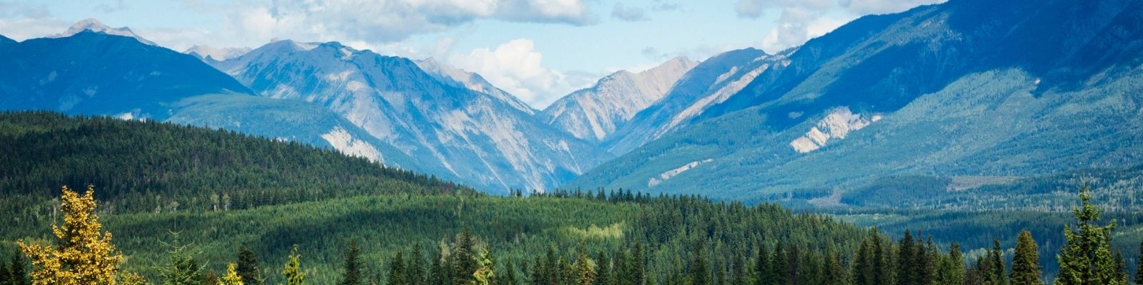 Where The Wild Things Are: Canada’s Incredible Wildlife