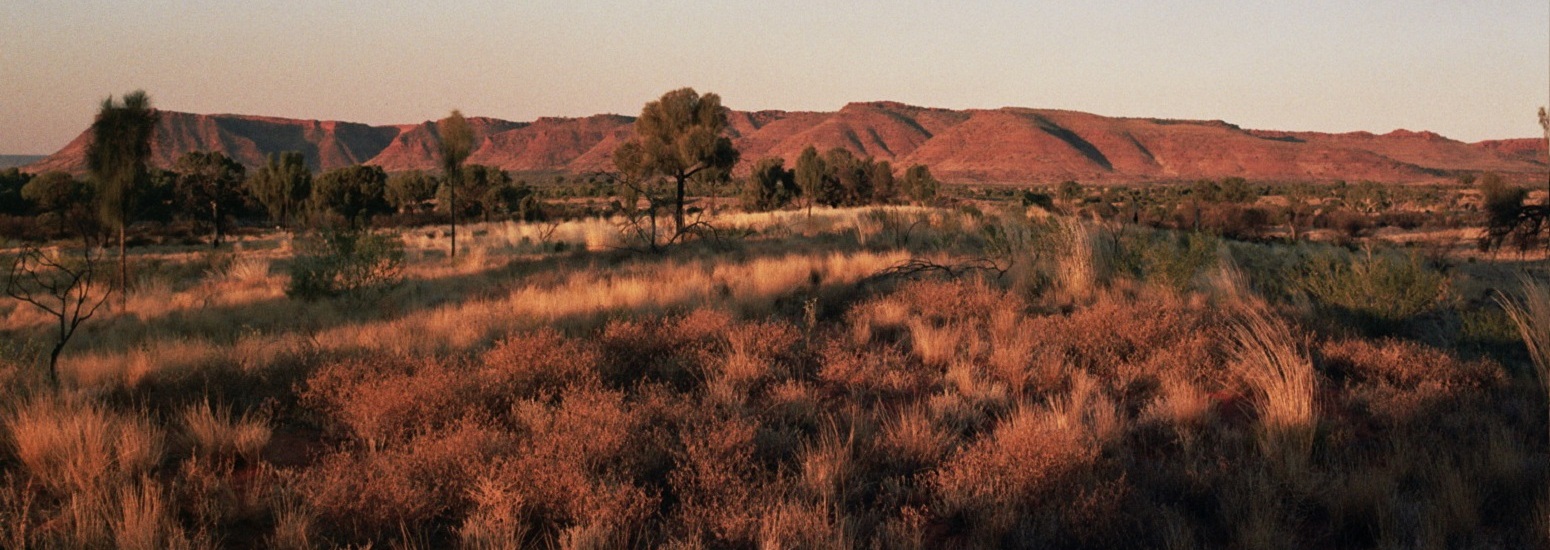 Your Complete Guide To Kings Canyon: What To See And Do