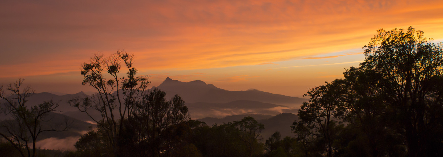 It's About The Climb: Your Guide To Tackling Mount Warning