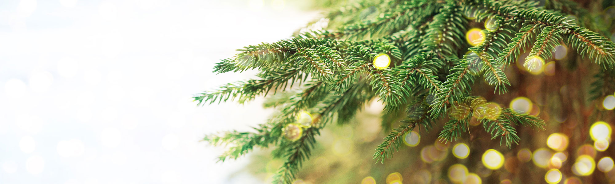 5 of the Best Christmas Lights in the World | Flight Centre UK
