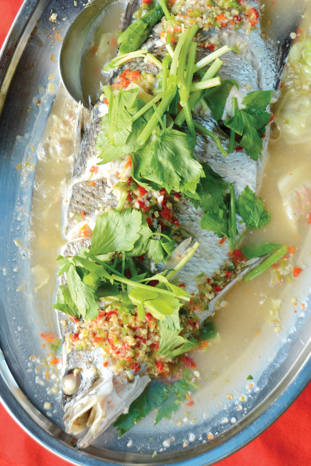 Our Top 10 Traditional Thai foods You Must Try In Thailand