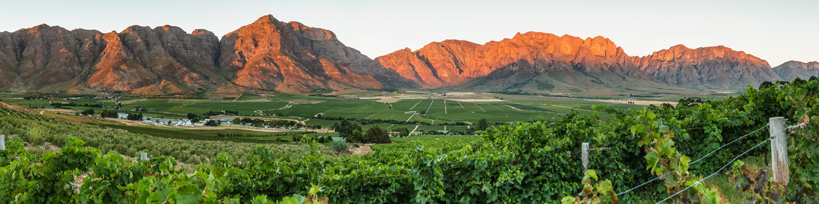 Top 10 Things To Do When Visiting The Western Cape